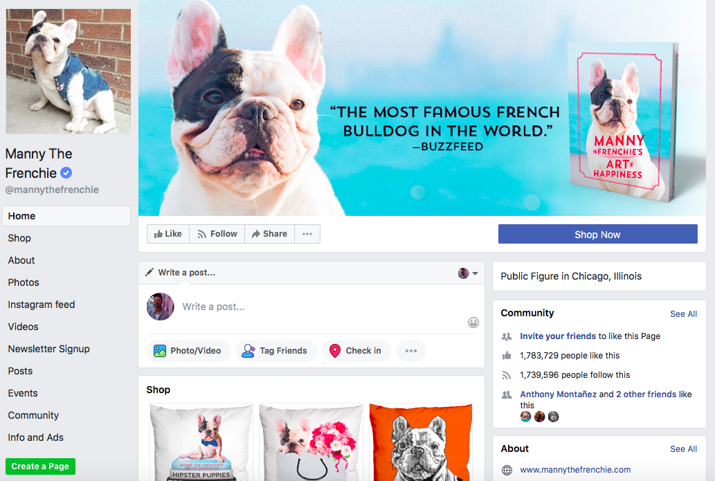 Top Chicago Influencers: Chi-Town's Most Influential